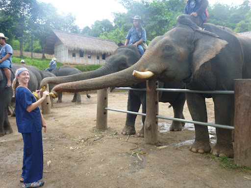 Keys Down Under: A Day with the Elephants