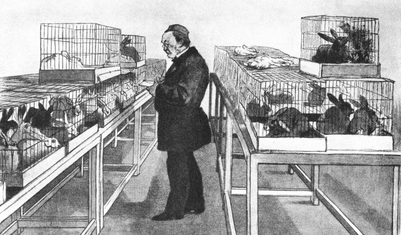 Historical Wallpapers: Louis Pasteur (1822-1895)