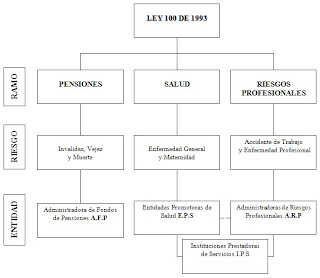 S&SO: LEY 100 DE 1993