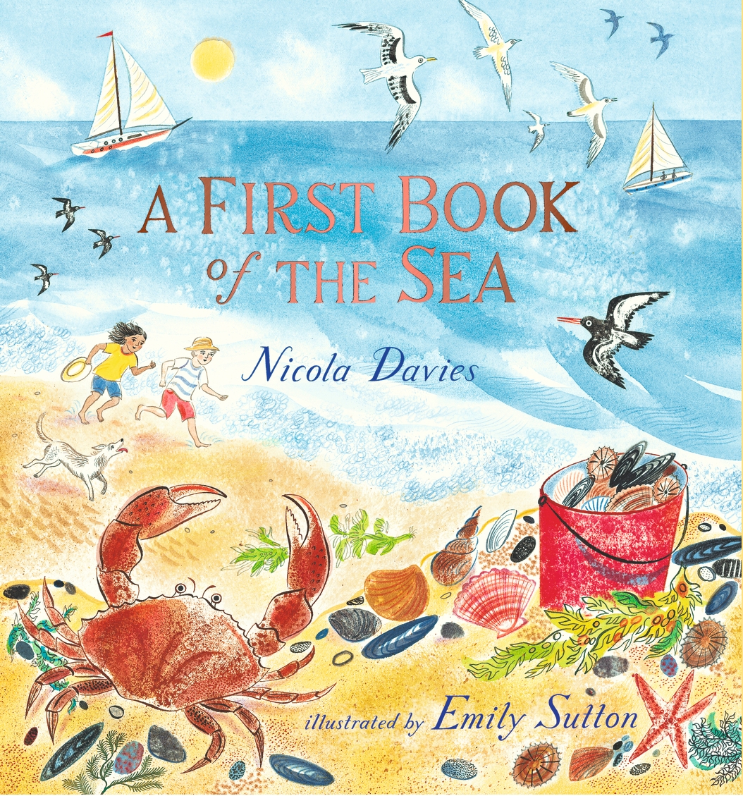 Picture Book Party: Picture Book of the Month - A First Book of the Sea ...
