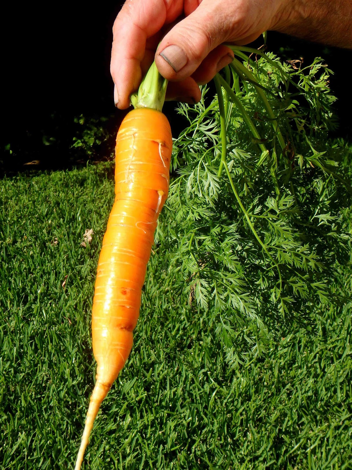 Penniedarling: February 2016