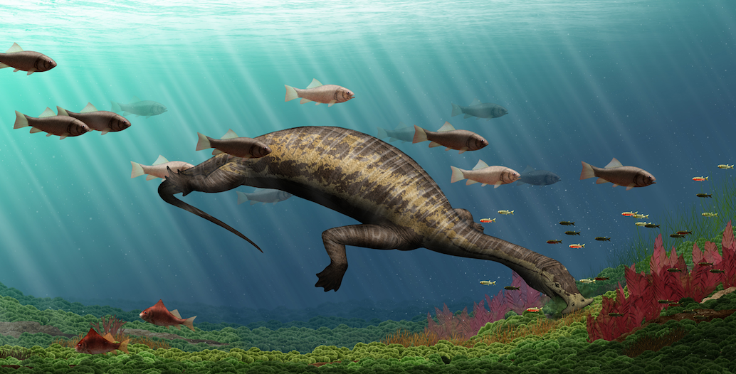 Atopodentatus : no tan extraño, después de todo | Dinosaurios (El ...