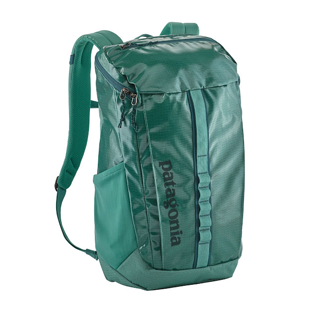 Patagonia Black Hole Backpack