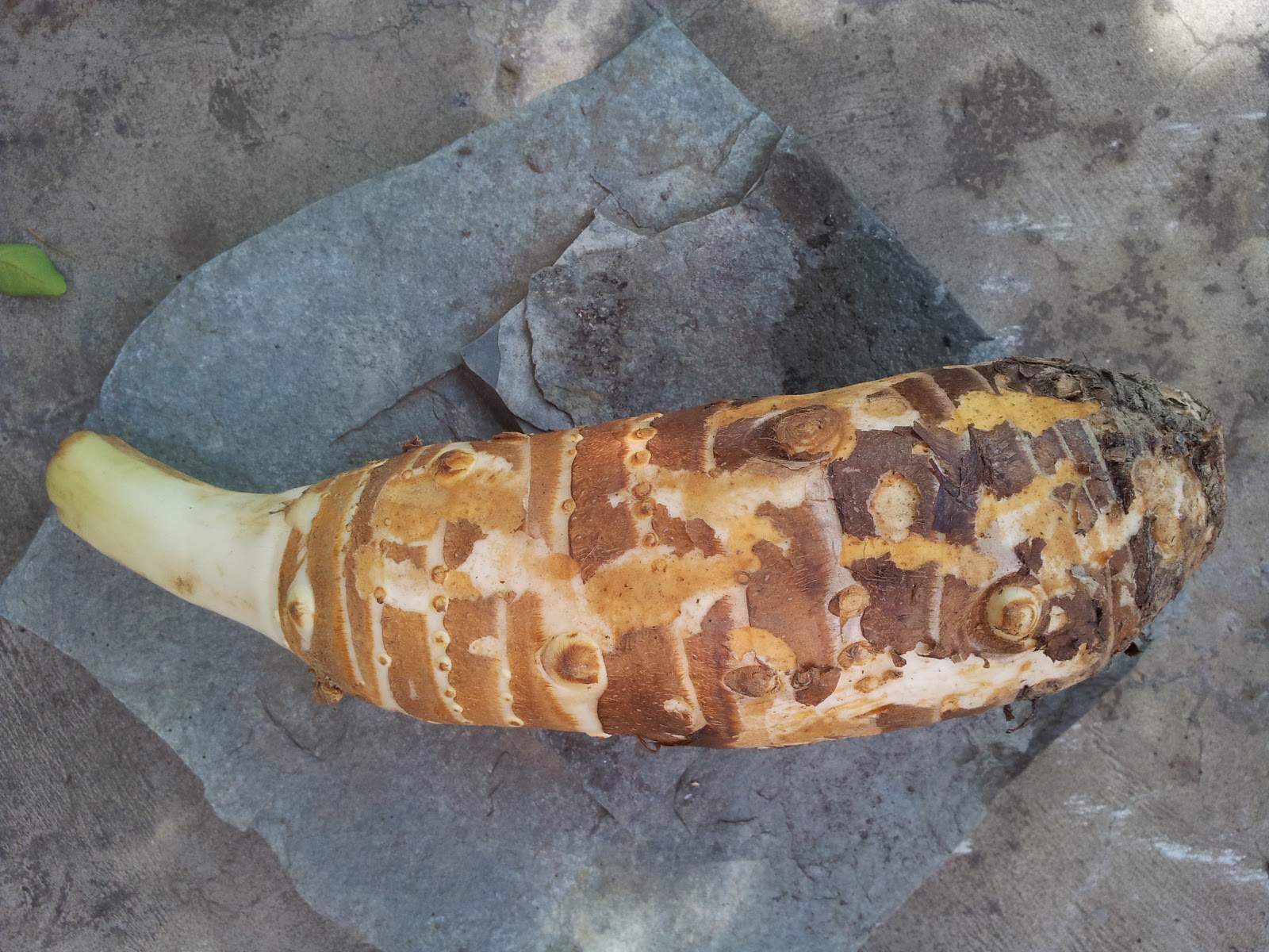 banaras ka khana: Kachalu ka achaar | instant Yam pickle...