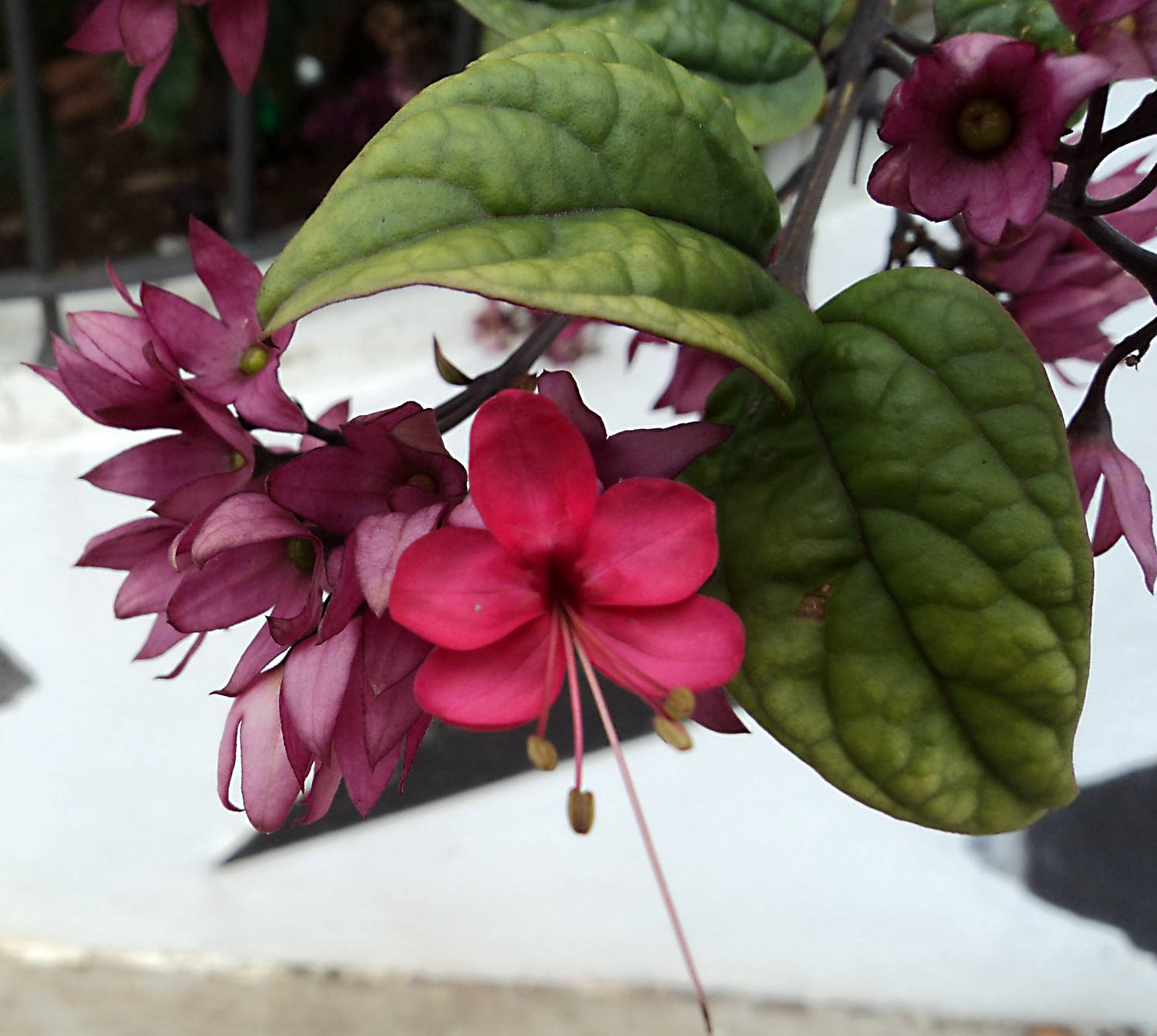 Últimos comentarios: