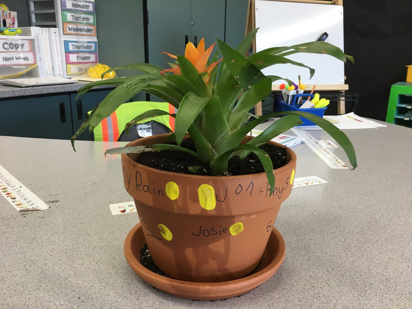 Mrs. Tullis' 2nd Grade Class