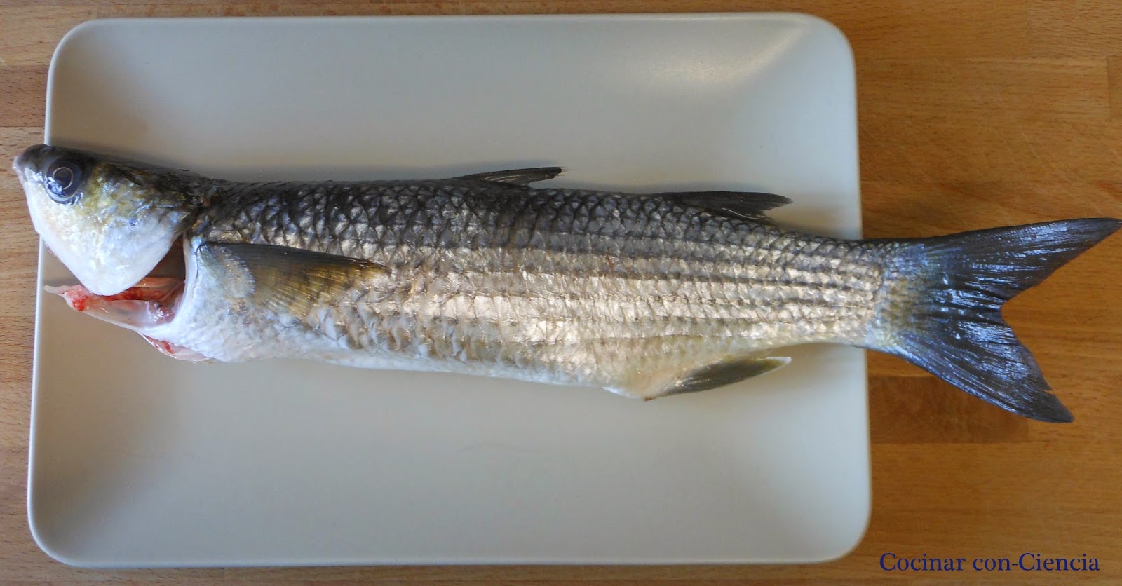 Lisa (o mújol) con patatas y guisantes en amarillo - Cocinar con-Ciencia