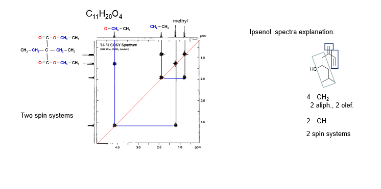 ORGANIC SPECTROSCOPY INTERNATIONAL: EXAMPLES OF COSY NMR