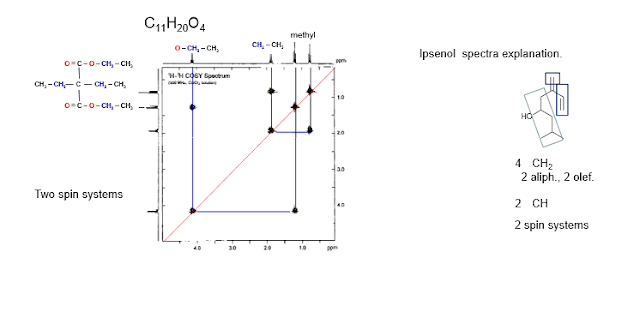 ORGANIC SPECTROSCOPY INTERNATIONAL: EXAMPLES OF COSY NMR