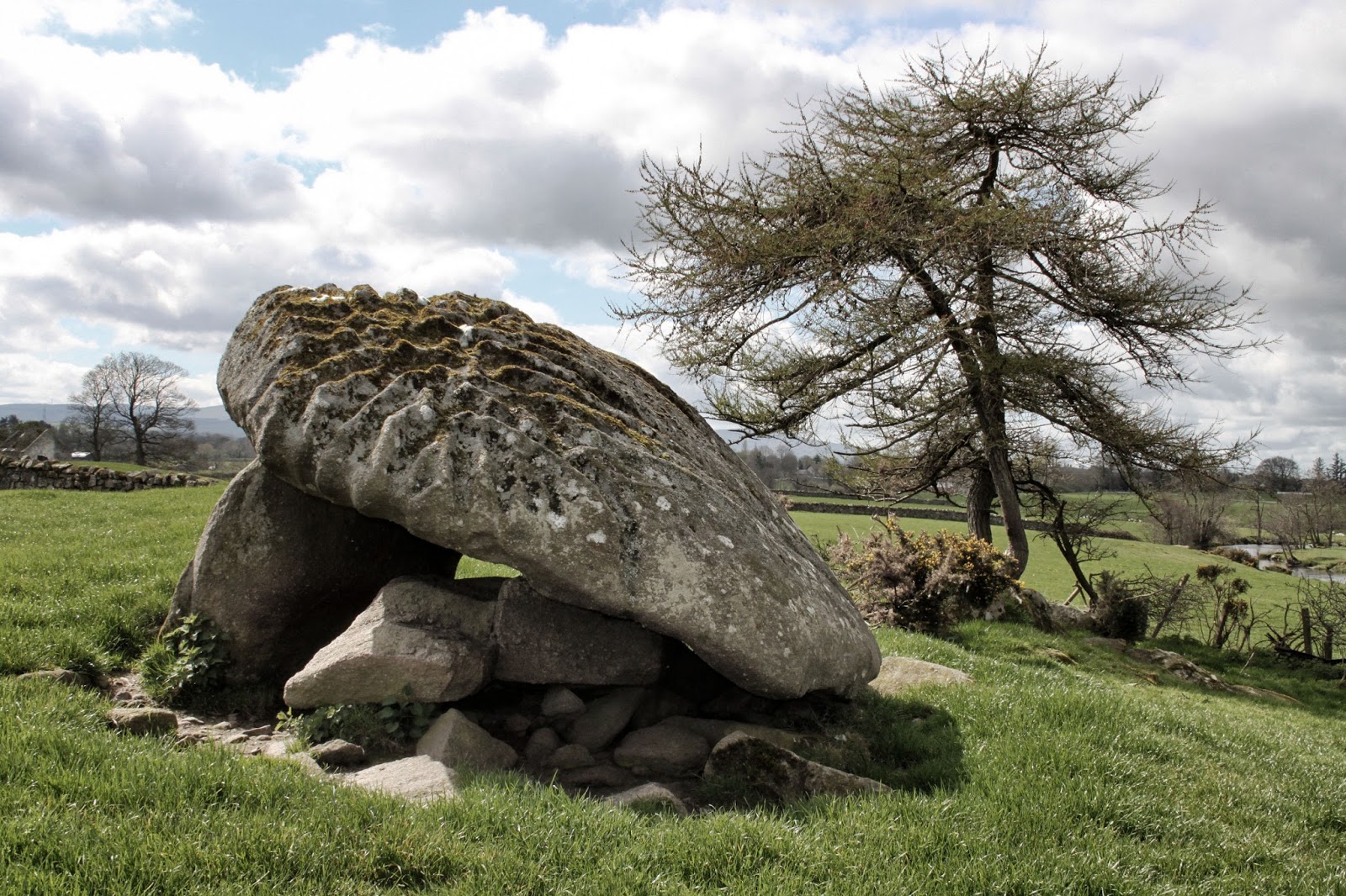 Historic Sites of Ireland: Ballynoe Portal Tomb