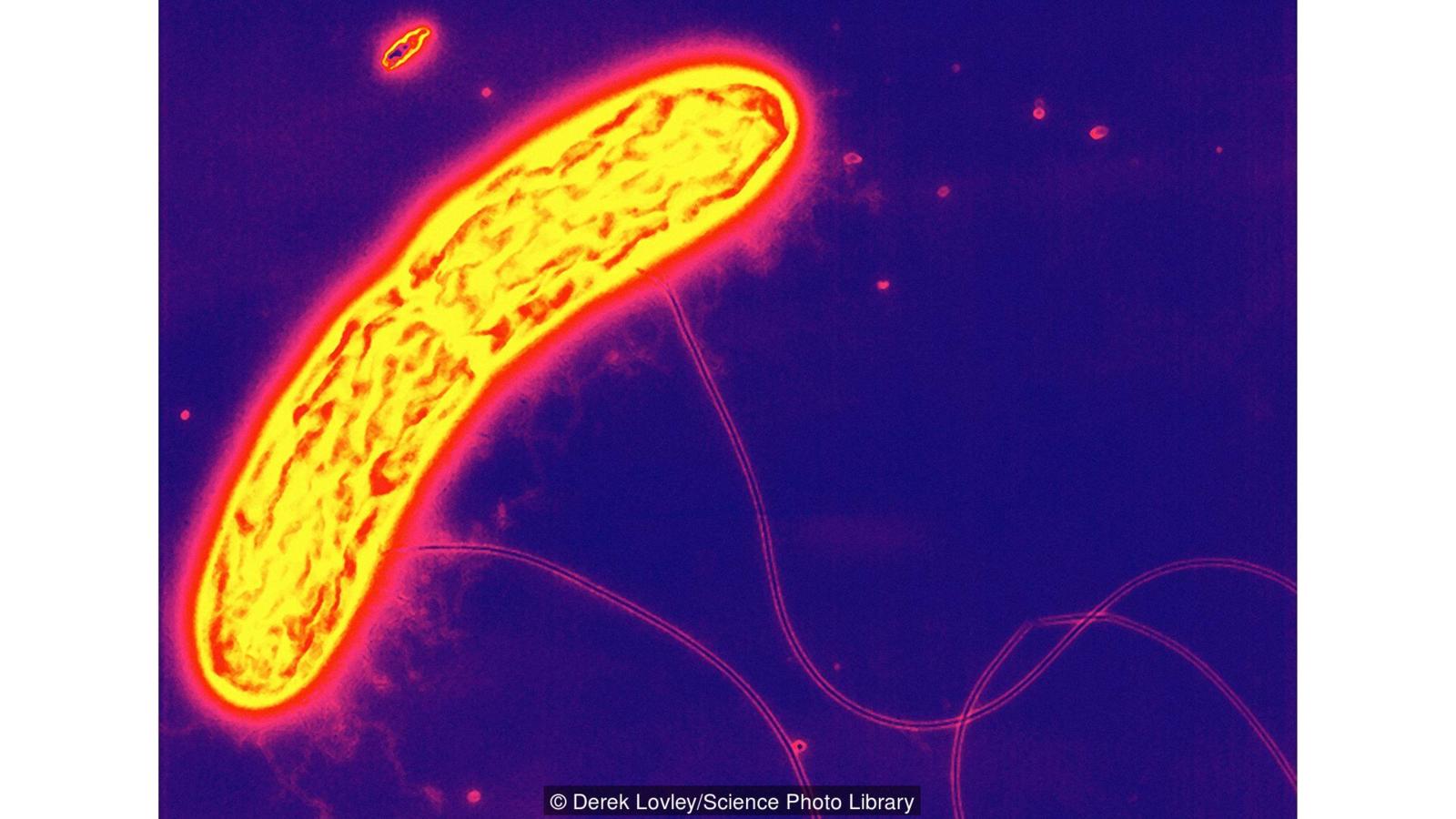 Rick's Random Musings: December 2018