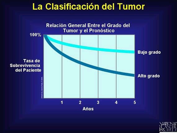 Cancerología de Quintana Roo, A. C. : La clasificación del tumor