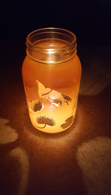 BitterCreek.com Blog!: DIY Shadow Jars!