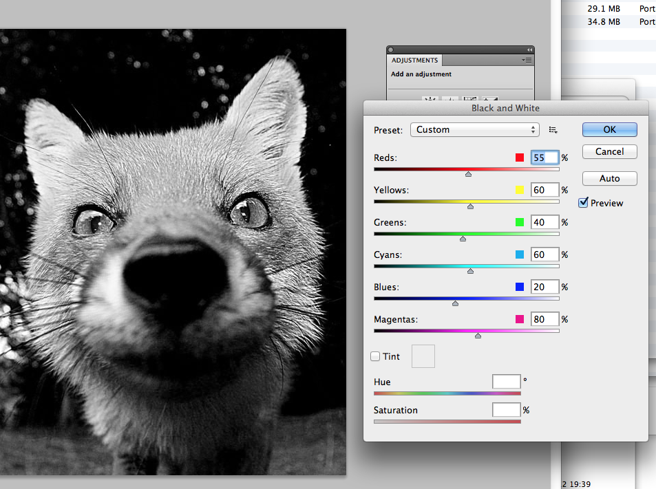 Design Practice: Fox editing for screen print