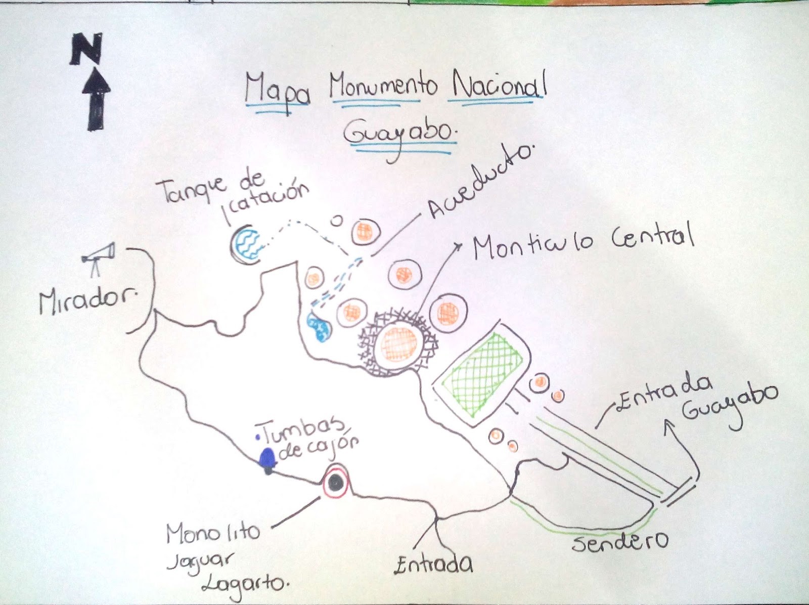 Agricultura y Ambiente: MONUMENTO NACIONAL GUAYABO