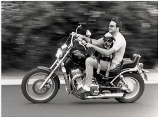 Just A Car Guy: Ride With Norman Reedus, season 2