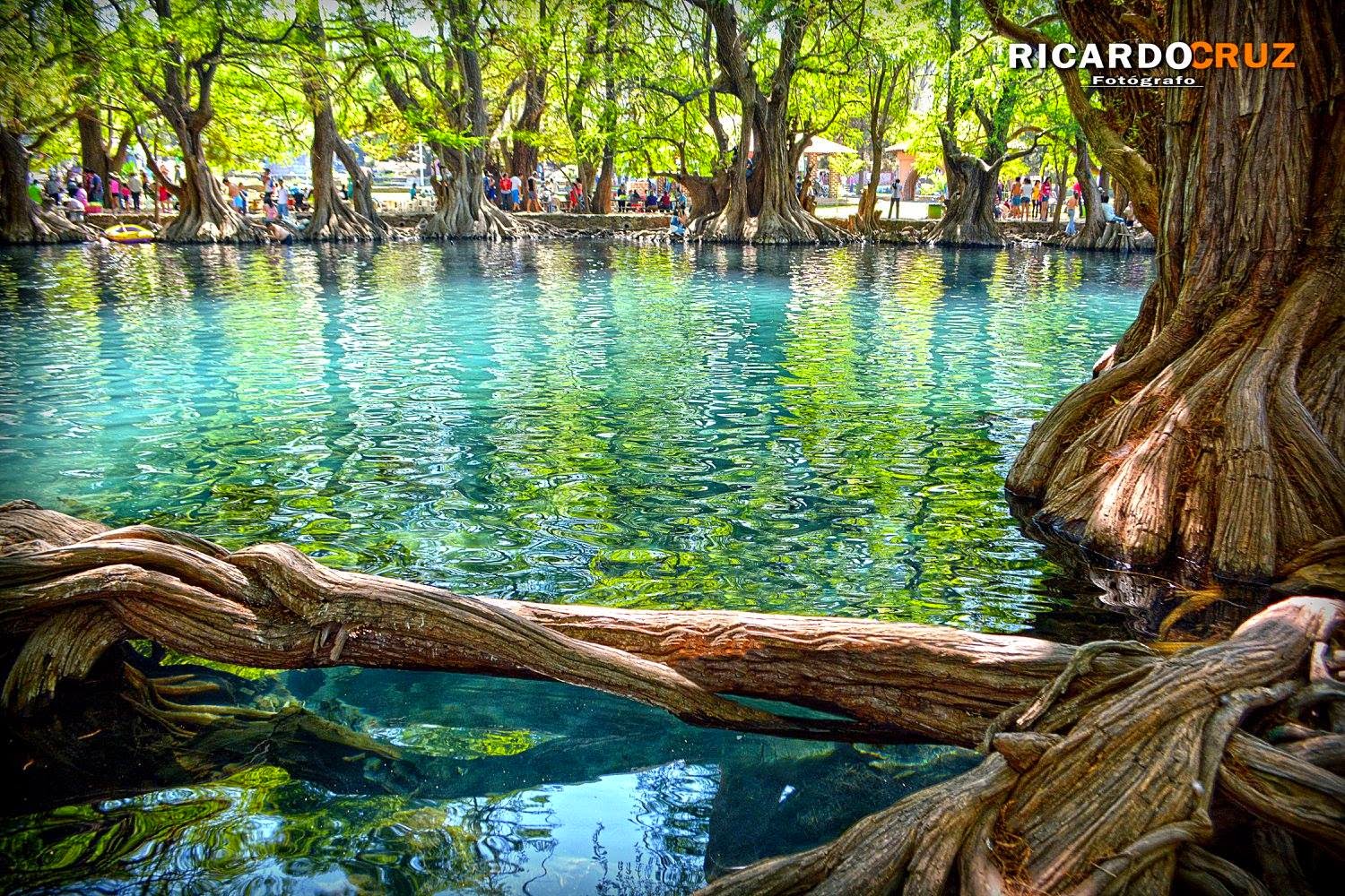 Jaime Ramos Méndez: Parque Nacional Lago de Camécuaro, municipio de ...