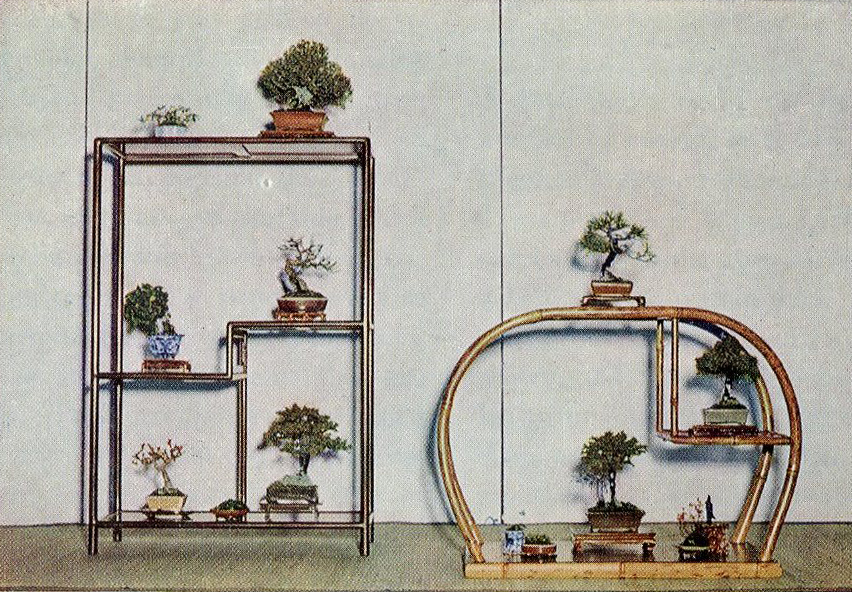 stopping off place: miniature trees and landscapes