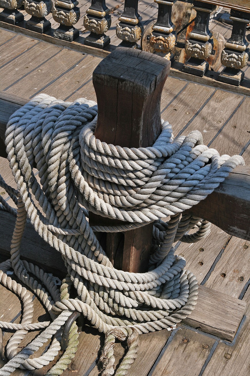 Journal of Life: Day 1 - Genova