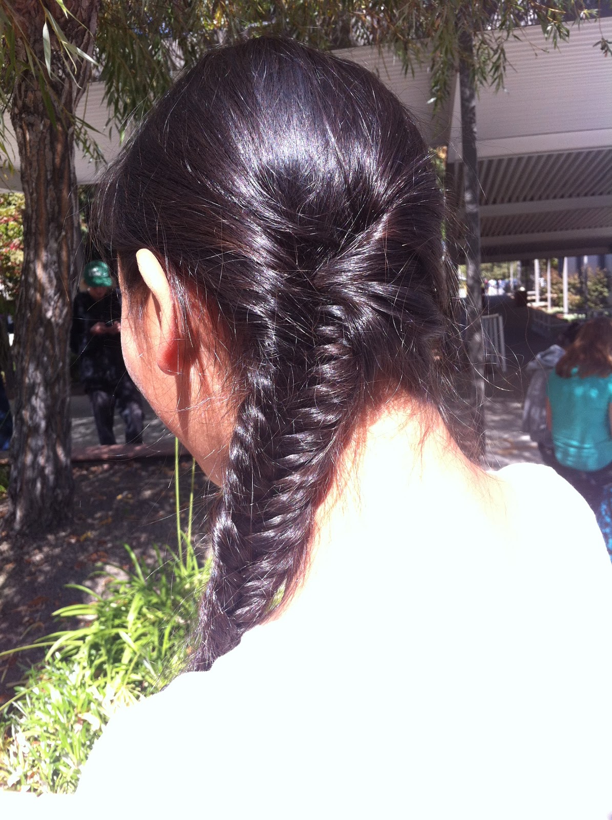 Design the Arts: Hair "Do's": Fishtail Braid