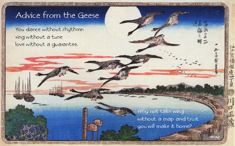 Random Noodling: Happy Haiga Day!