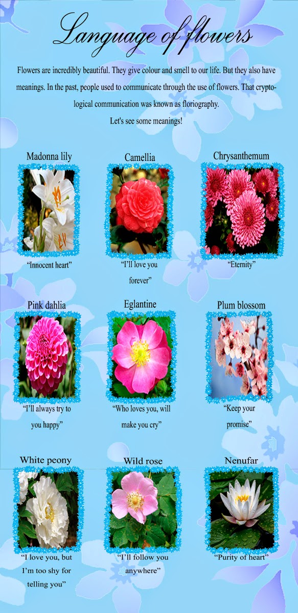 TENzine.com.es: LANGUAGE OF FLOWERS #infographic