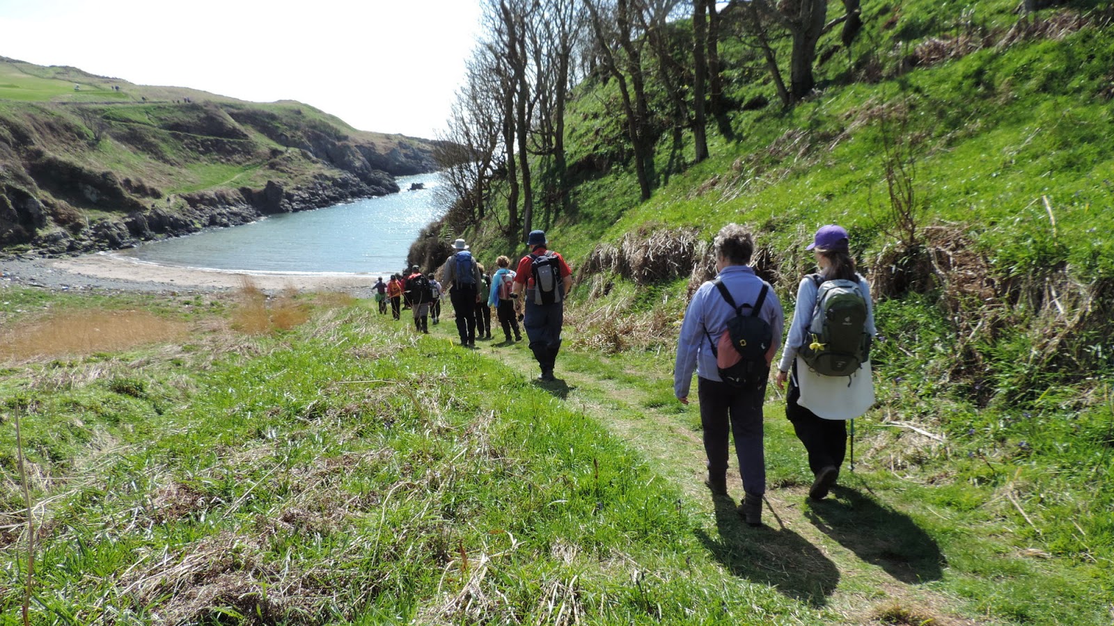 The Glebe Blog: Wigtownshire Ramblers Portpatrick Knockinaam April 2014