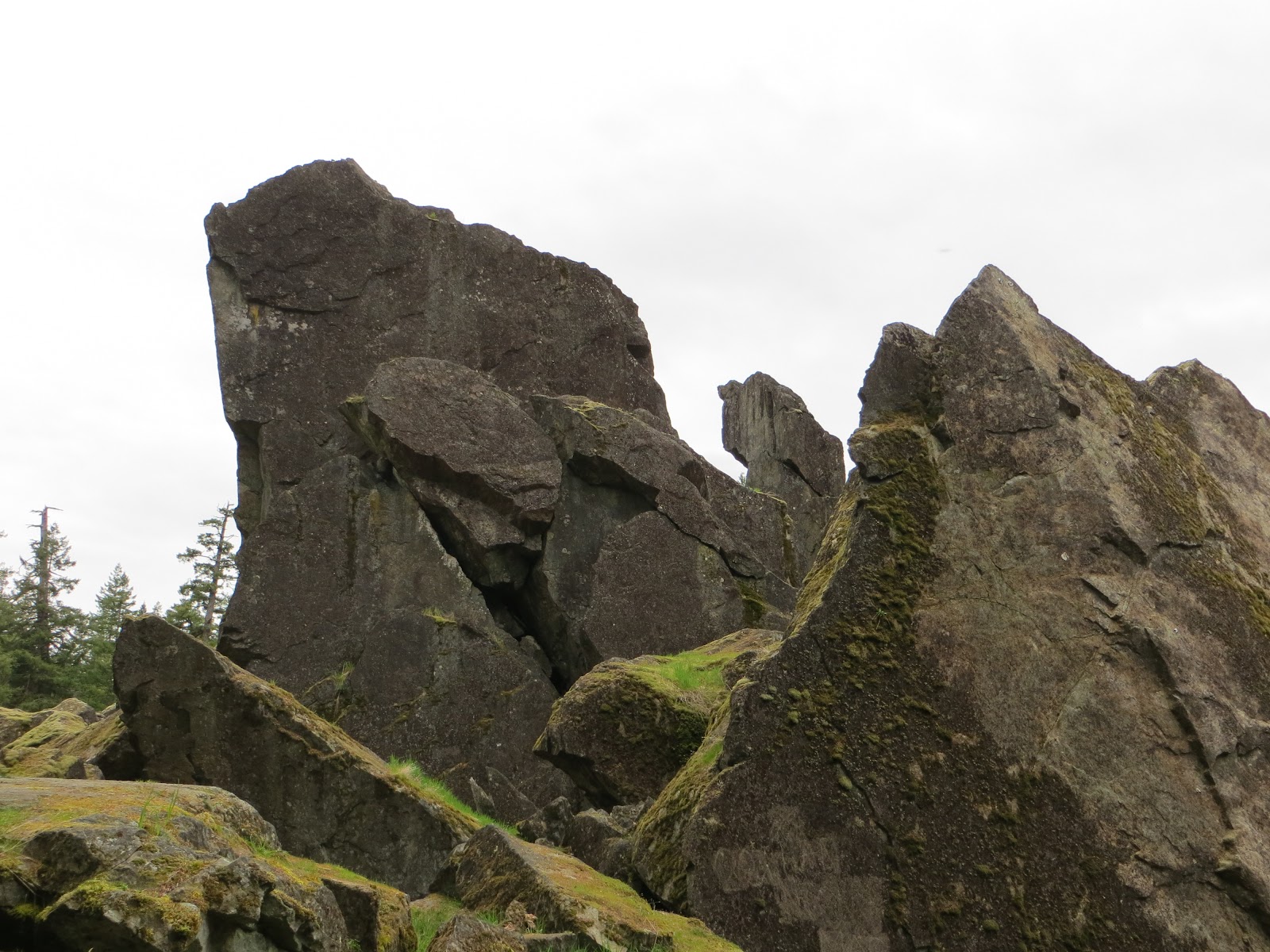 My Pacific Northwest: Devil's Rock Garden 4-28-12