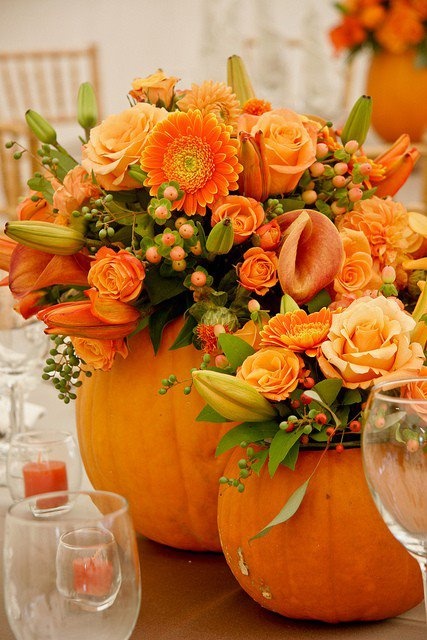 Lulus Cottage Pumpkin Flower Arrangement lulus-cottage-pumpkin-flower-arrangement
