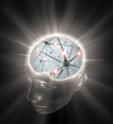 3 Easy Ways to Improve Your Brain Power - Mind Science