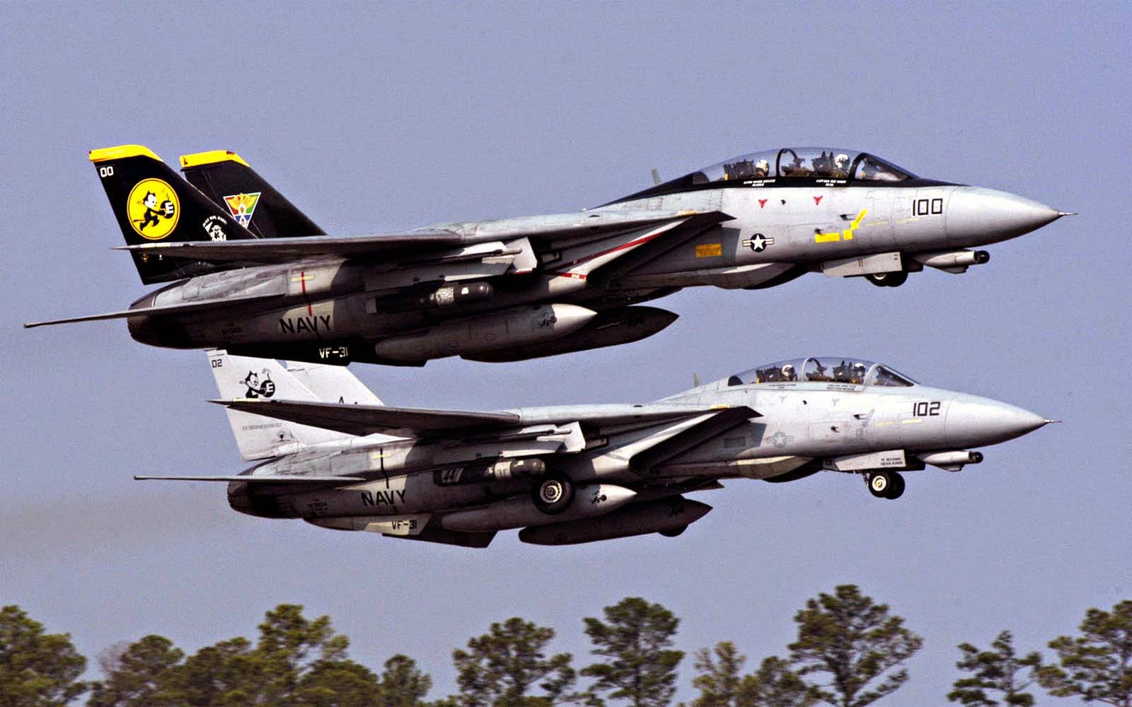Aviones Caza y Ataque: GRUMMAN F-14 TOMCAT