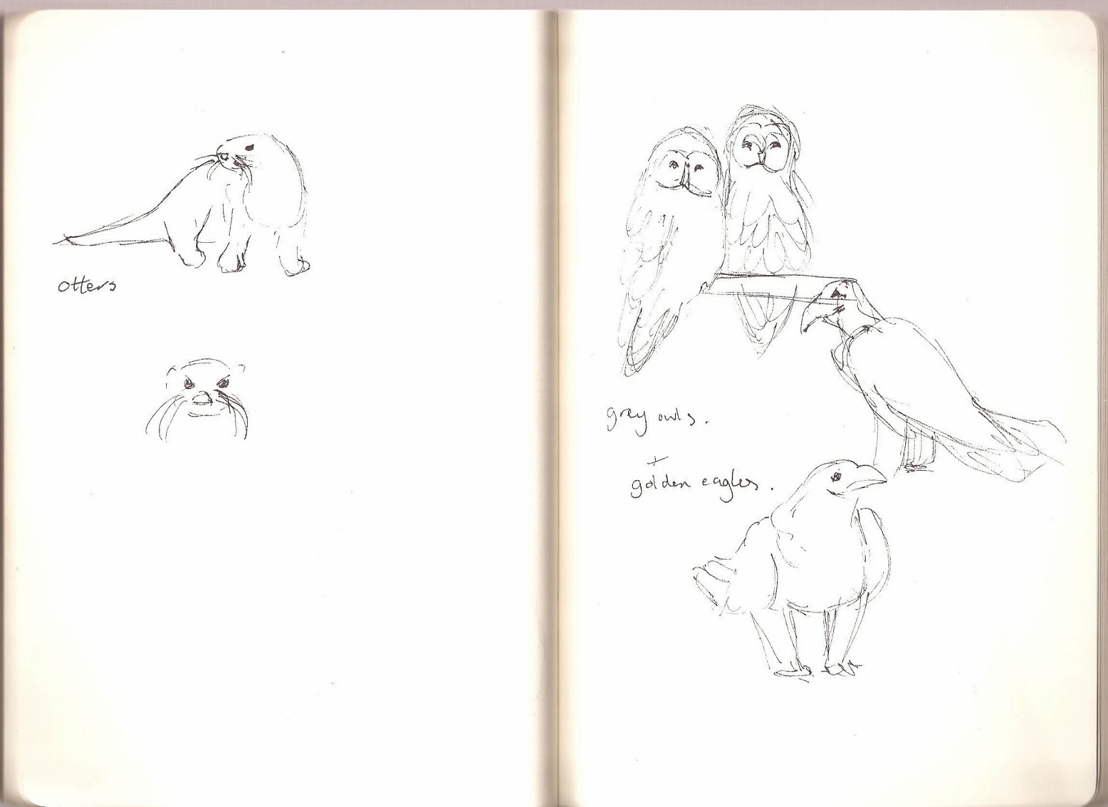 Lilly Durrant - Art and Animation Blog: Observational Drawing - Animals 2
