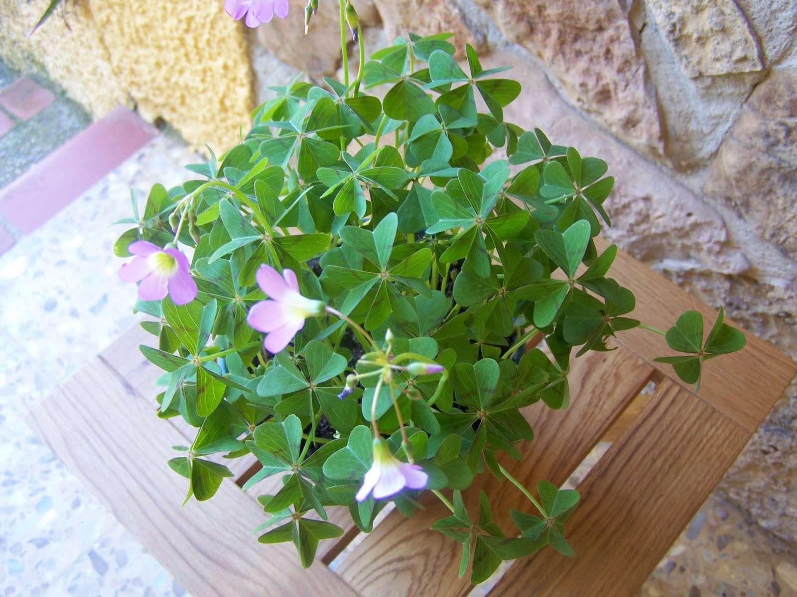 La suerte de La Tabla