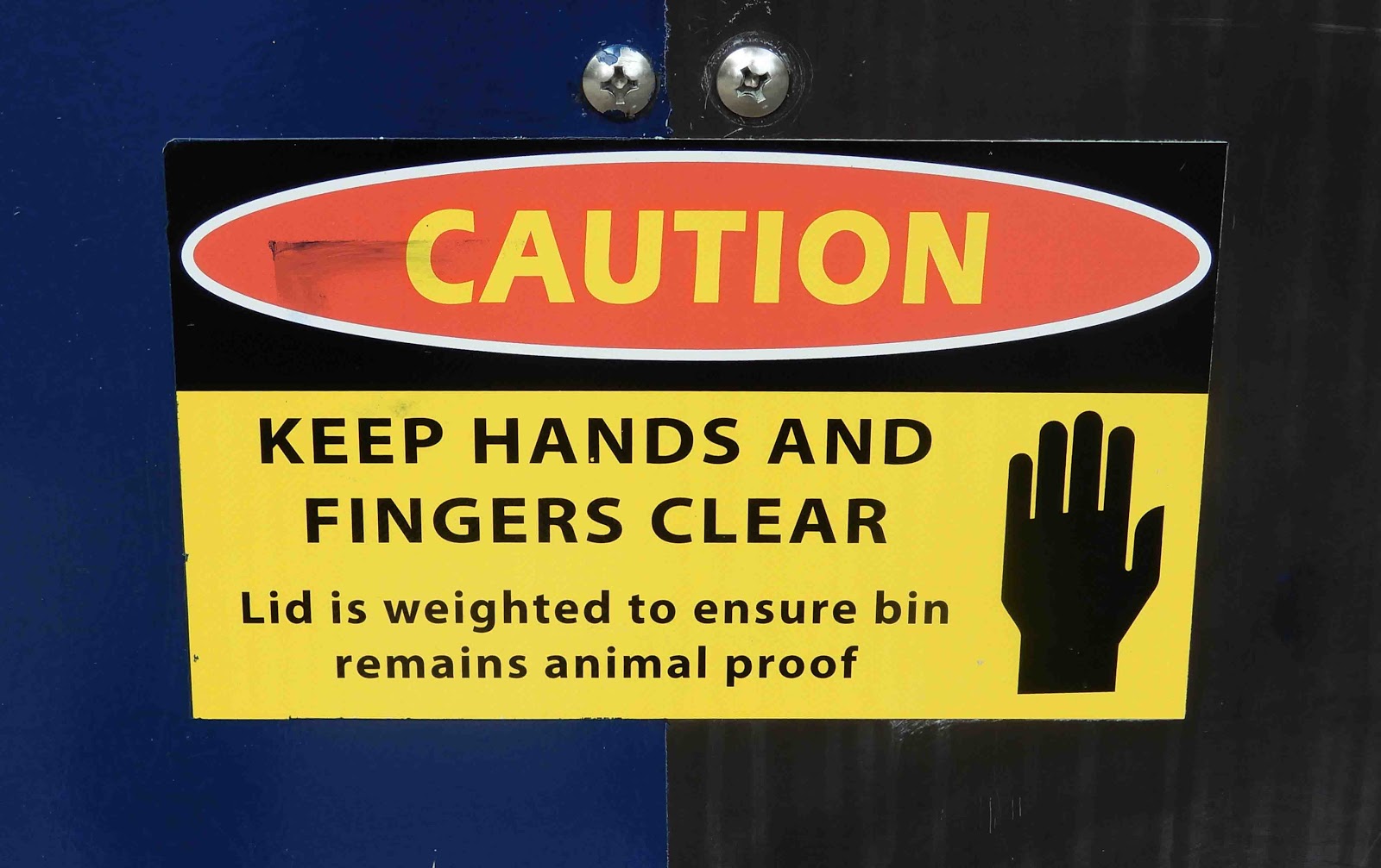 Cat Patches: Thunder Bay, Ontario, Canada