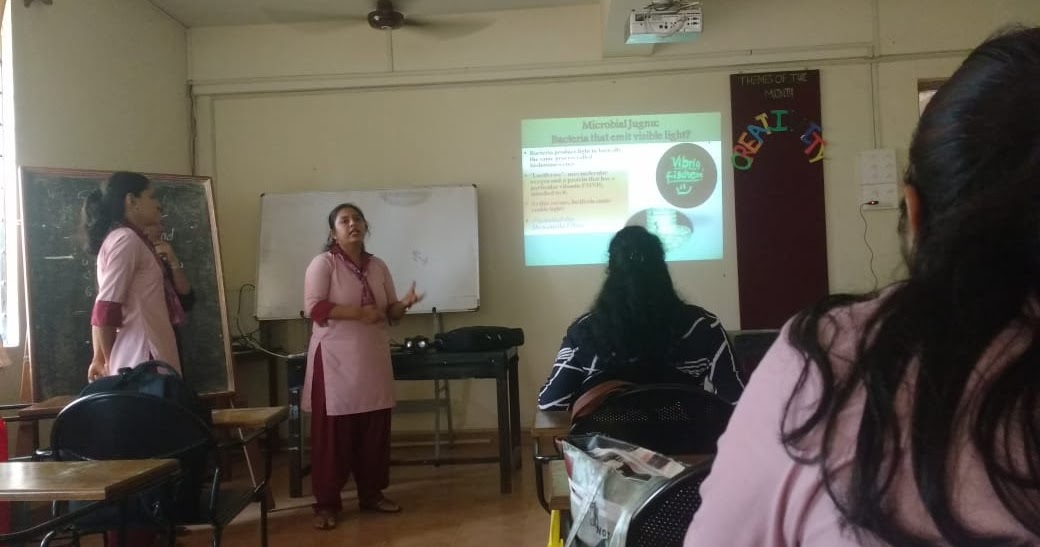 Splendid Science: Content presentation