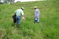 AGROSTOLOGIA