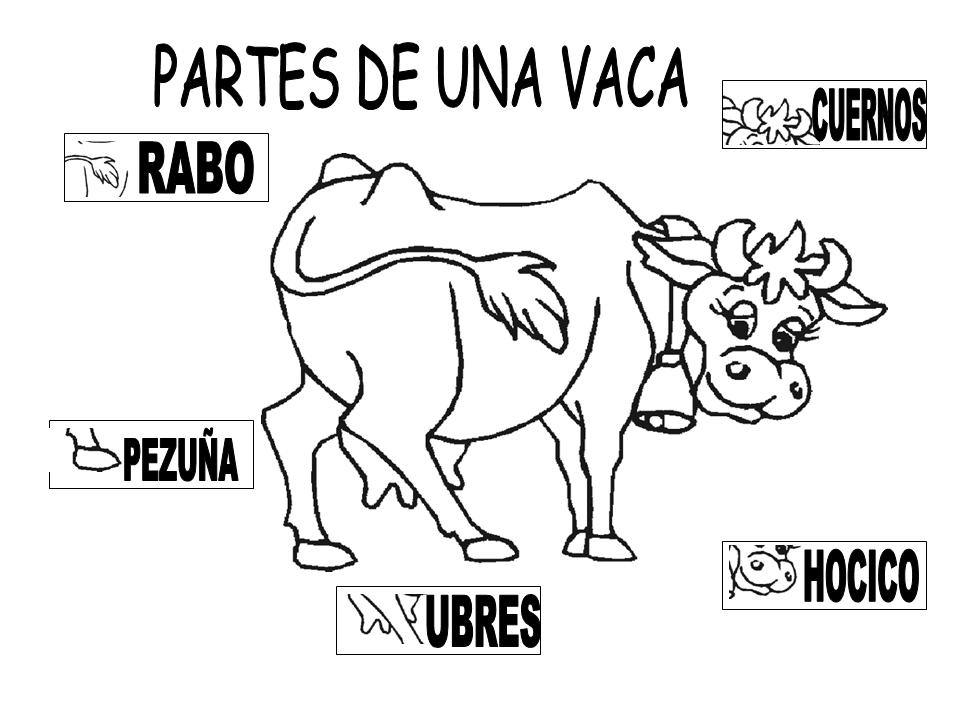 "LA VACA": EMPEZAMOS CON LA INVESTIGACIÓN.