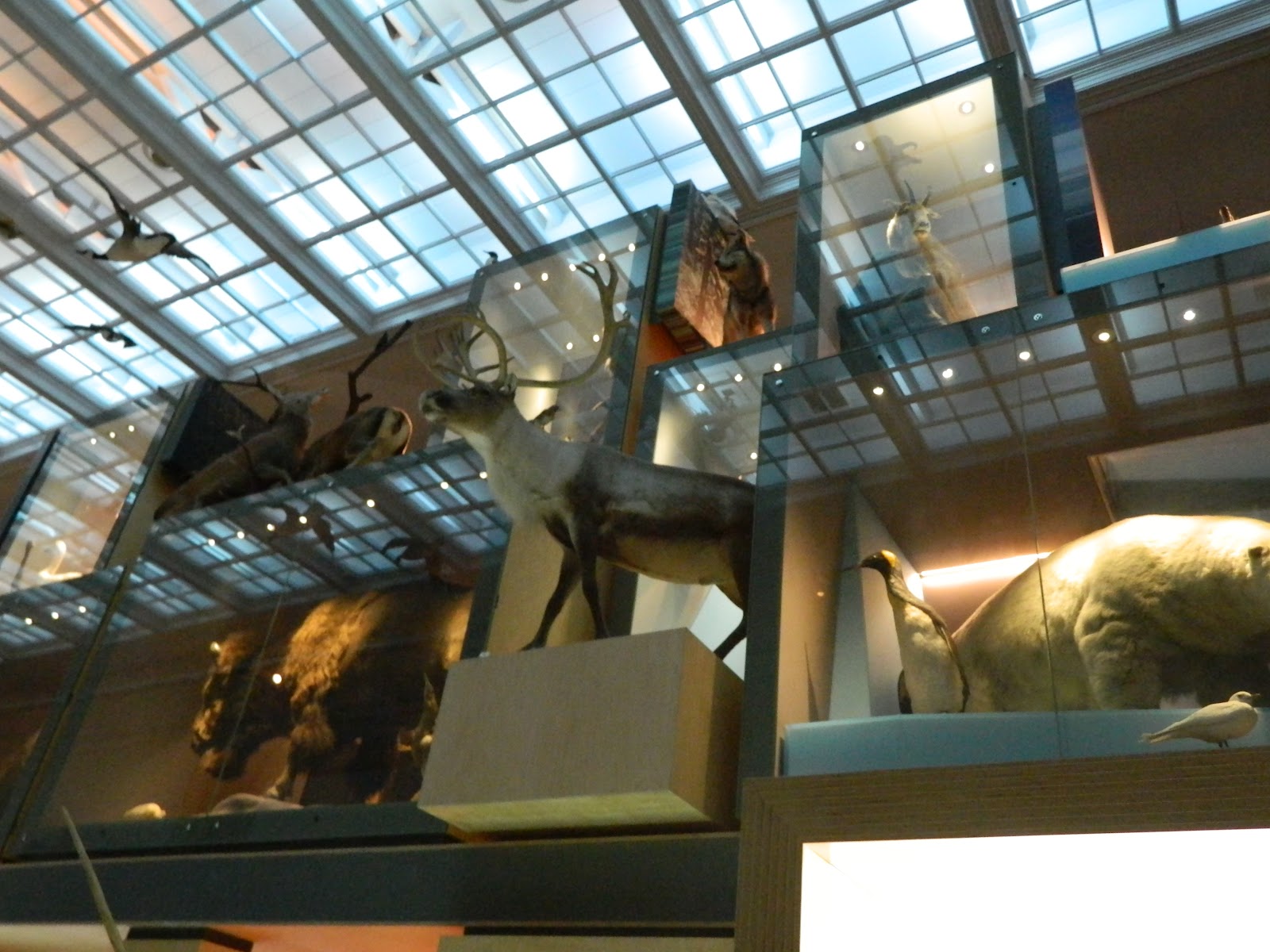 amandauniquely: The Hancock Museum