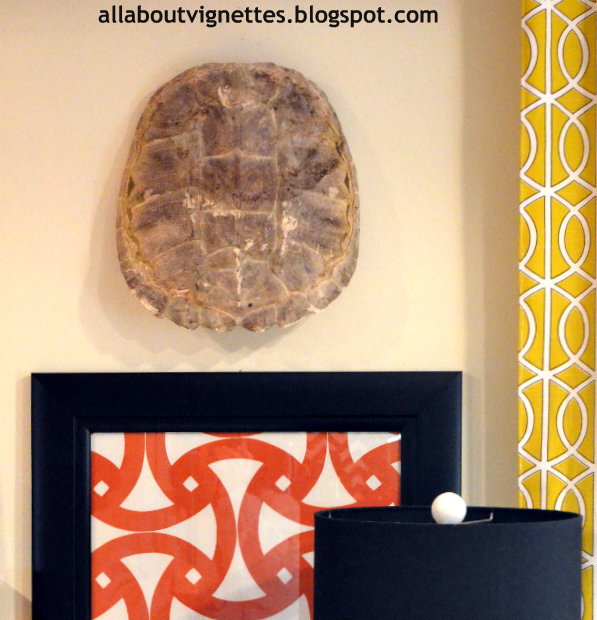 All About Vignettes: Sun Bleached Tortoise Shells