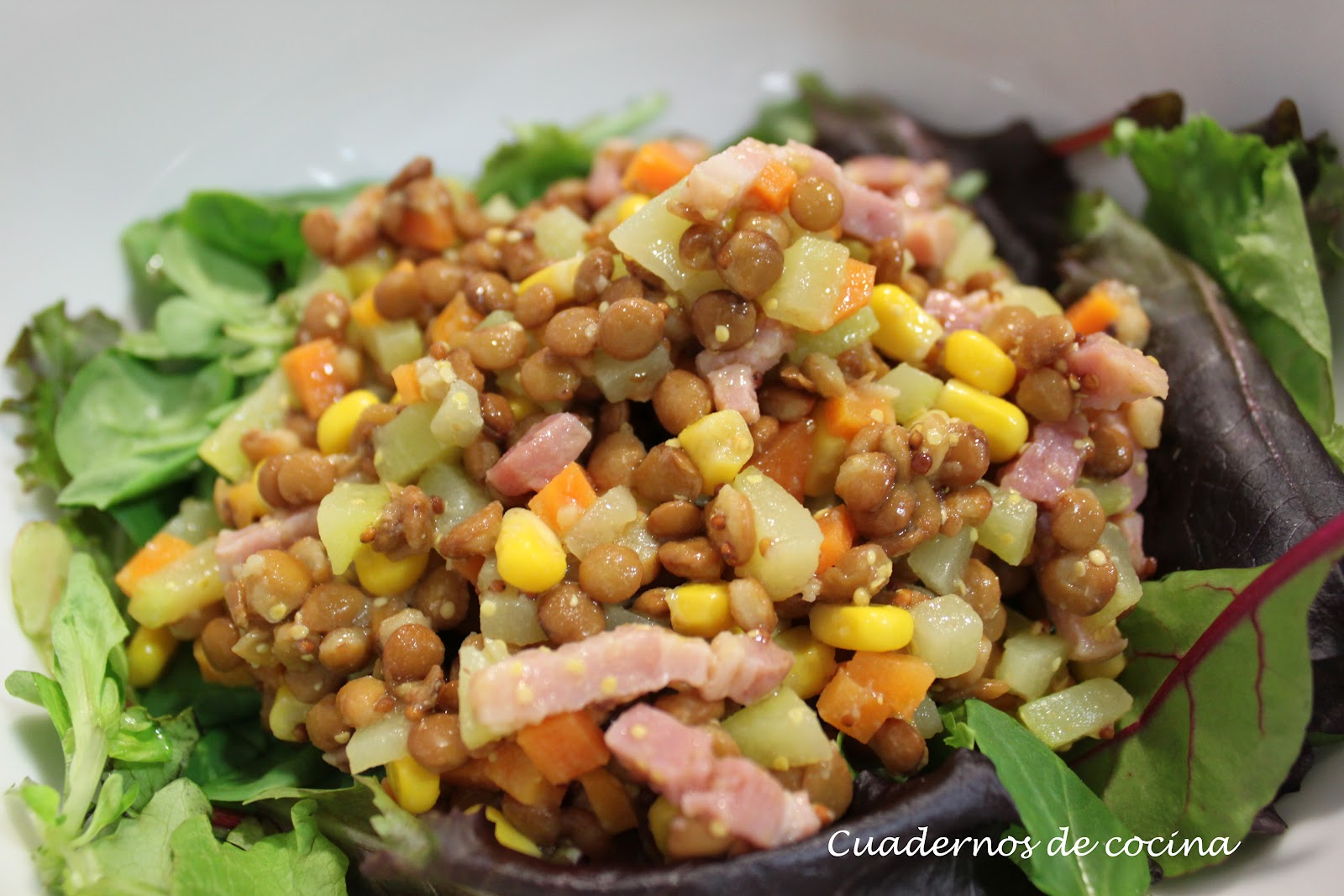Cuadernos de cocina: Ensalada de lentejas