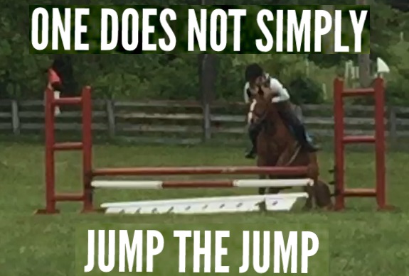 Horse Jumping Memes