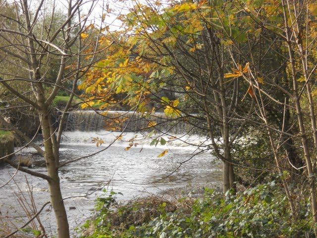 Take A Relaxing Walk on the River Dodder in Dublin Ireland | Sidewalk ...