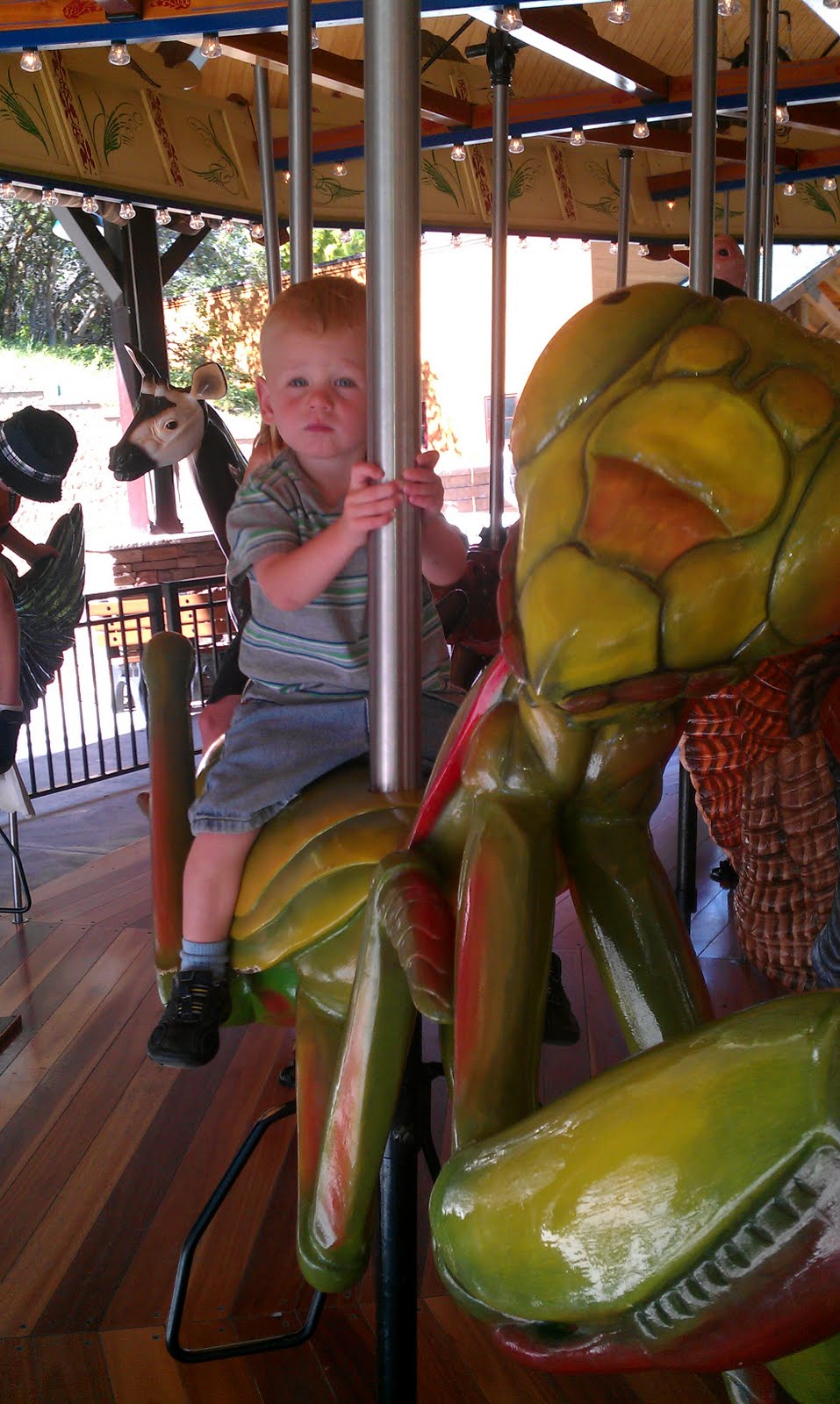 The Portlock Family: Hogle Zoo Carousel