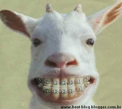 Você sabe a origem da expressão bode expiatório ? | Curiosidade Corriqueira