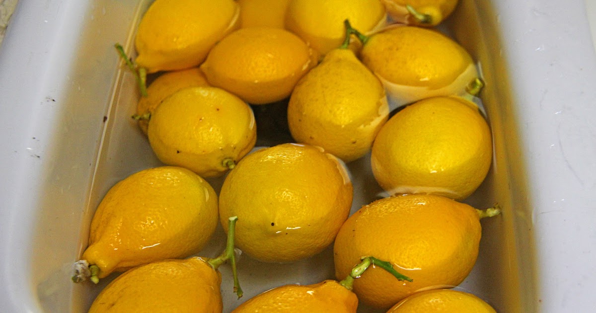 Love from the Kitchen: Lemon Juice - for Later