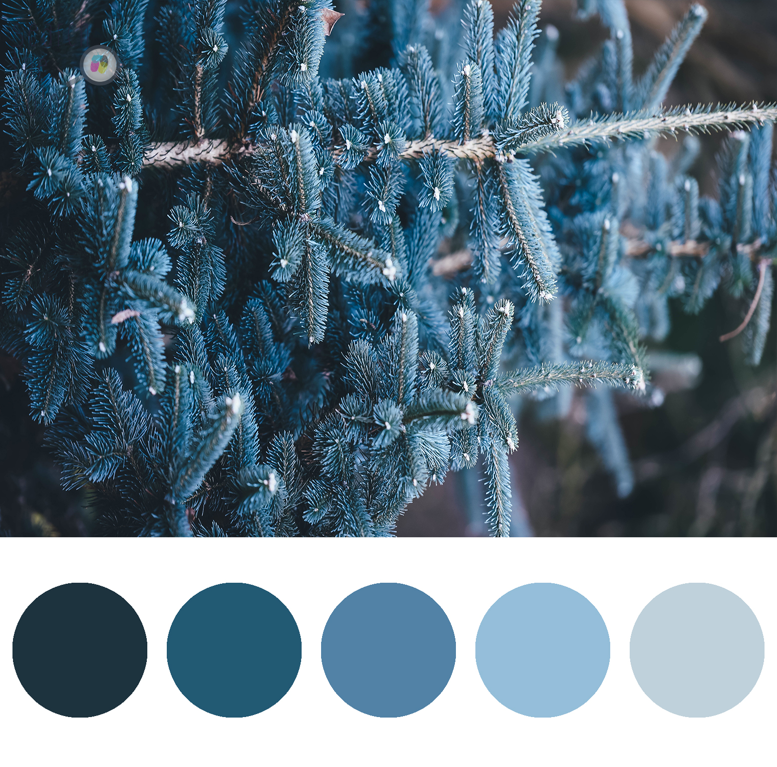 D21 - Search the Color