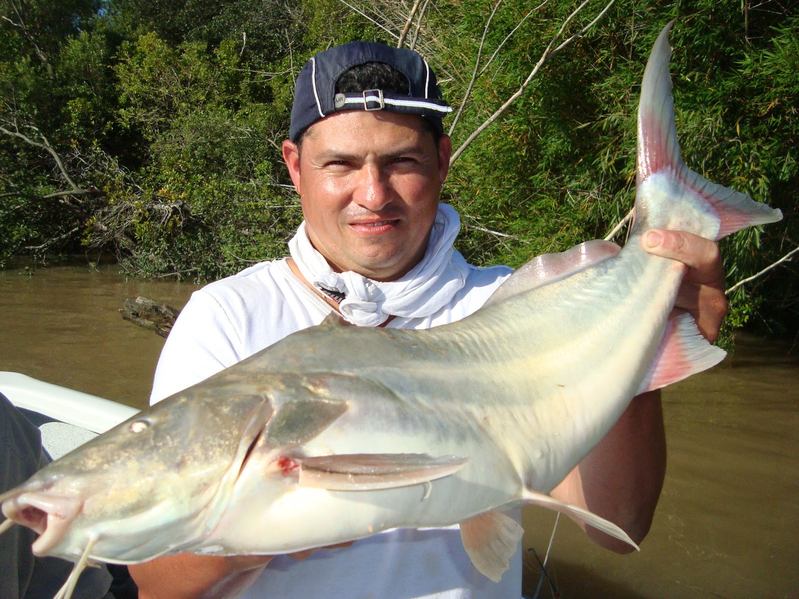 Tour de Pesca: enero 2012