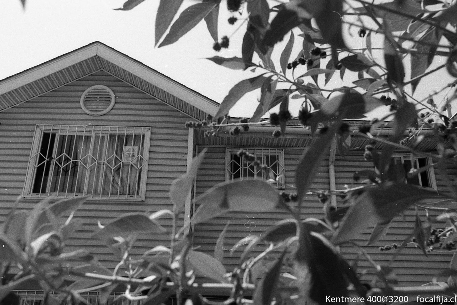 Kentmere 400 Push @800 @1600 @3200 Revelado con Rodinal