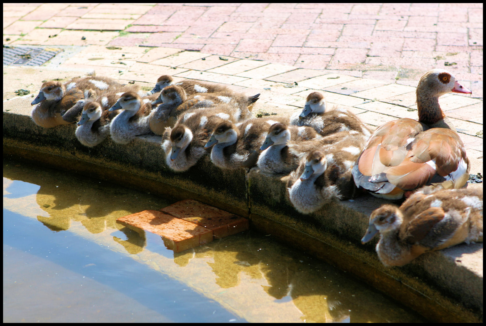 Share My Capetown: October 2012