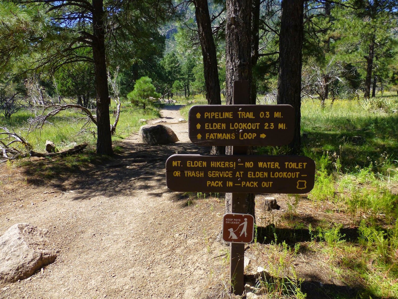 Off on Adventure: Mount Elden - Flagstaff, AZ - 9/10/14